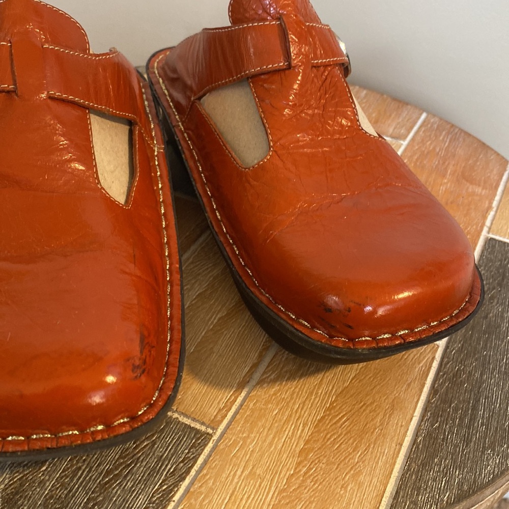 Burnt Orange Algeria Slip On Clogs - Gem
